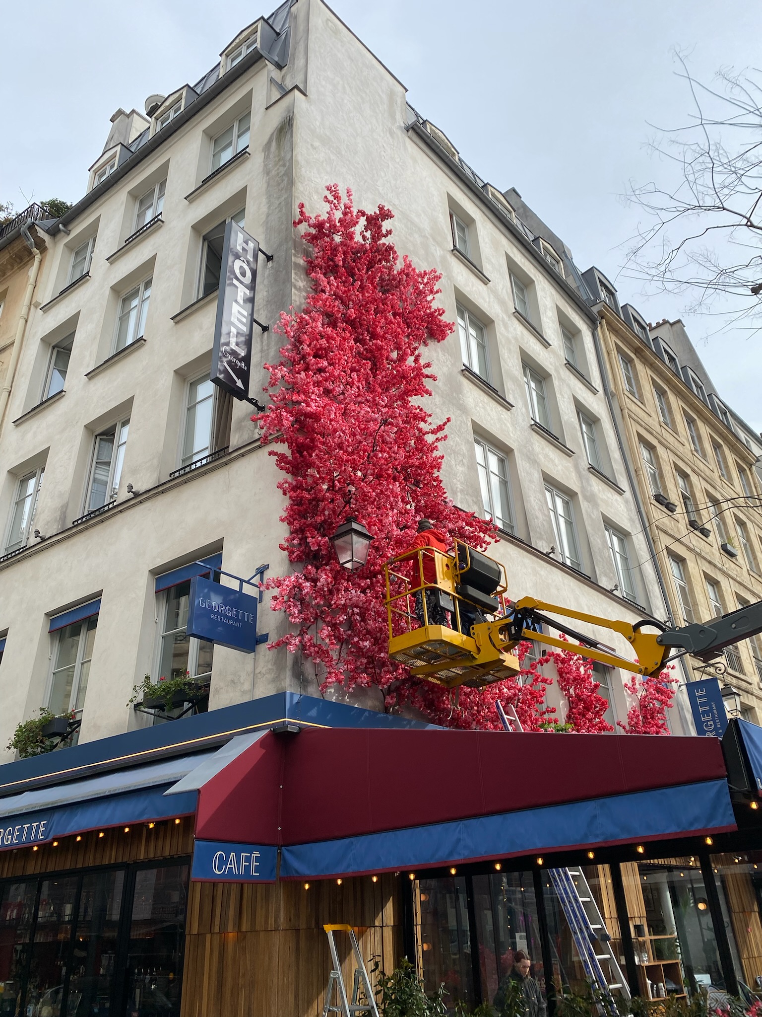 Café Georgette - Paris 2024 - Deschamps Fleuriste